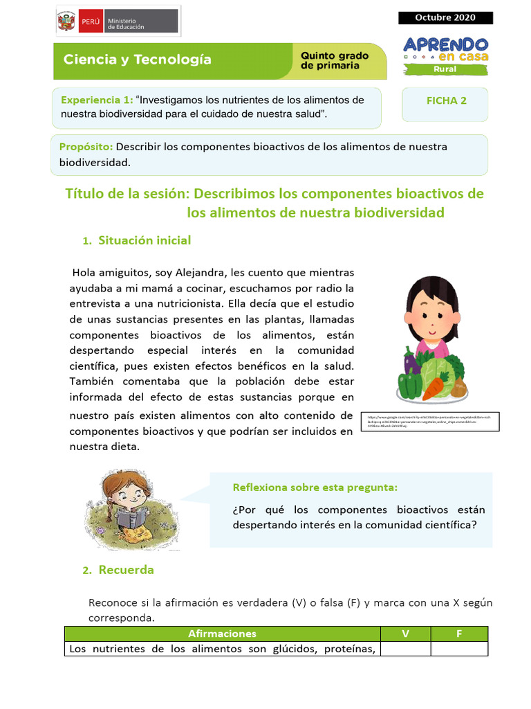 FICHA 2 SESIÓN 2 EXP 1 CIENCIA Y TECNOLOGÍA QUINTO GRADO - OCTUBRE 2020 | Descargar gratis PDF ...