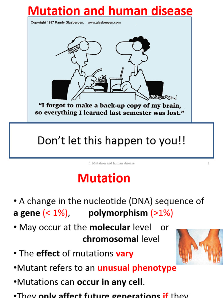 A. Assaf. 5 | PDF | Mutation | Genetic Code