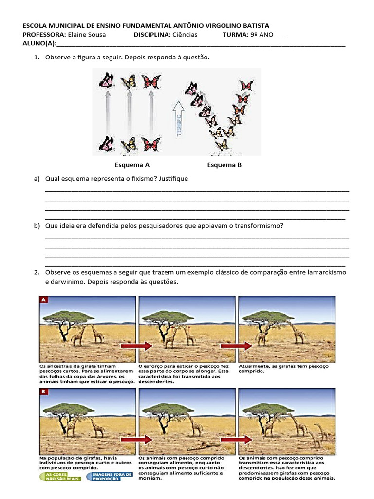 Atividade Teorias Da Evolução | PDF | Evolução | Biologia
