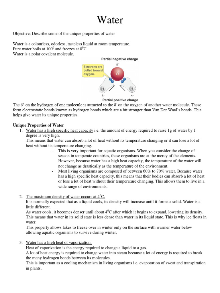 Water Handout | PDF | Water | Water Purification
