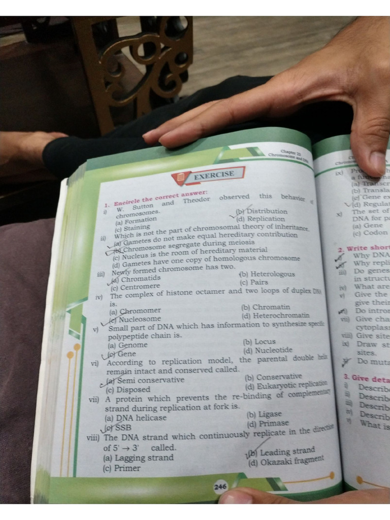Botany XII Book Mcqs | PDF