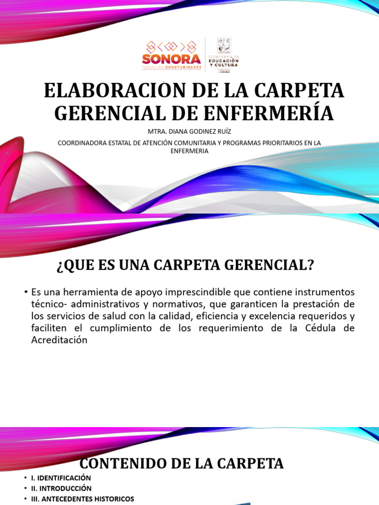 Elaboración de La Carpeta Gerencial de Enfermería PDF | Descargar gratis PDF | Medición | Enfermería