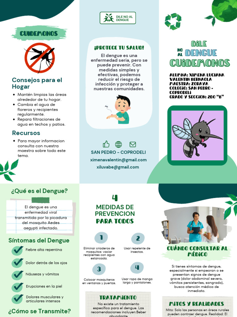 Triptico Sobre El Dengue | PDF | Salud pública | Inmunología