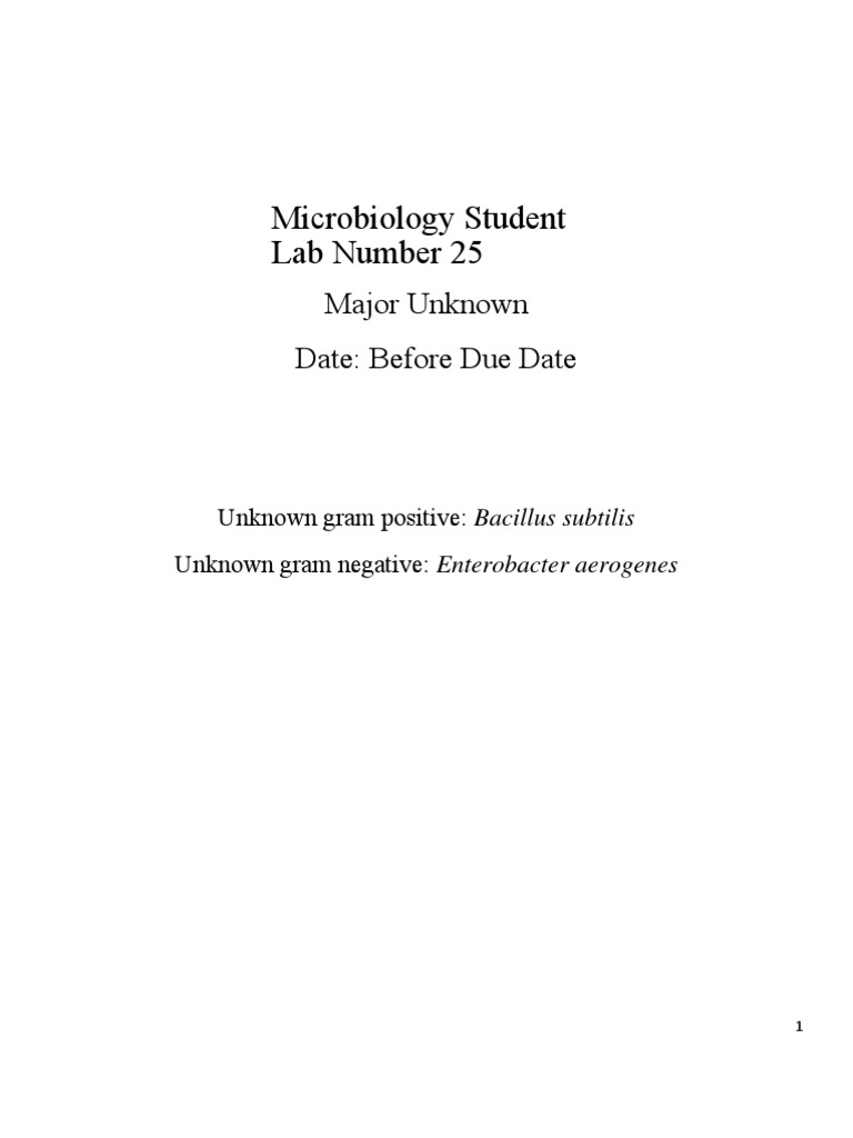 Sample Unknown Report | PDF | Bacillus | Gram Positive Bacteria