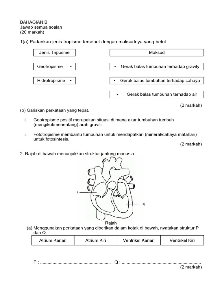 Soalan Sains Sains Form 3 | PDF