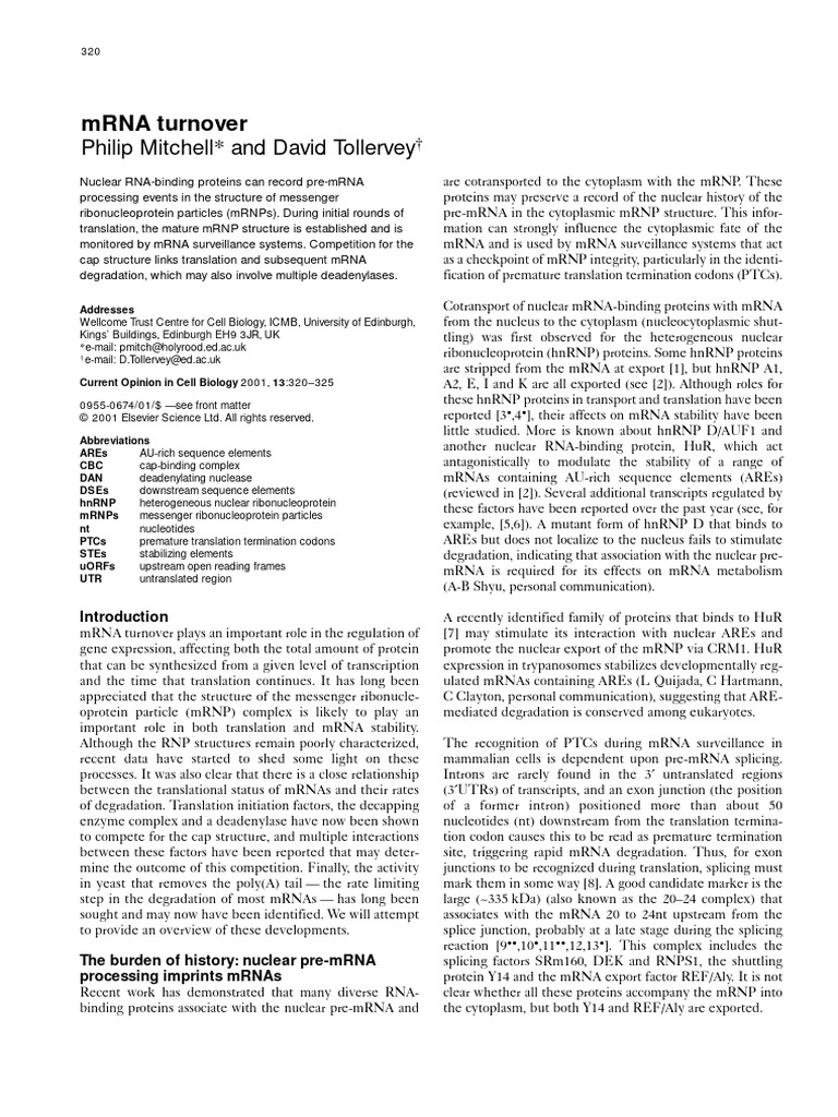 mRNA_turnover | PDF | Messenger Rna | Rna Splicing