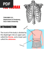 AngioDynamics Smart Port Instructions | PDF | Intravenous Therapy ...