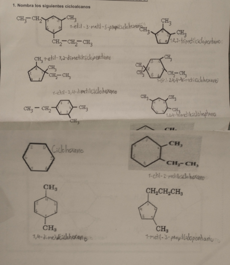 Cicloalcanos | PDF