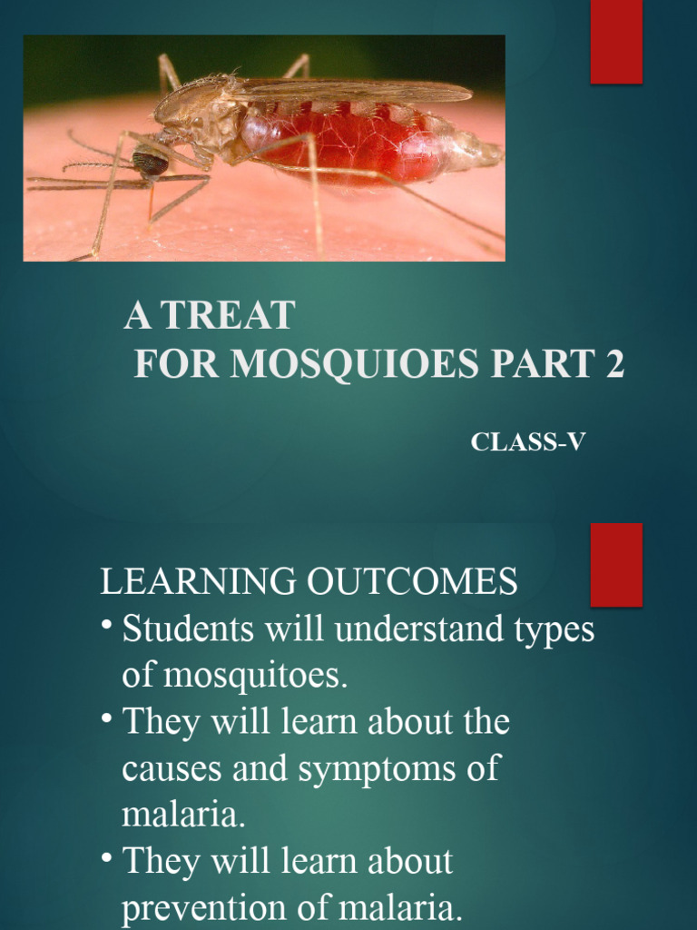 Class V A Treat For Mosquito PPT 2 | PDF | Mosquito | Malaria
