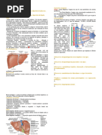 Anatomia do Fígado e Suas Estruturas | PDF | Fígado | Hepatócito