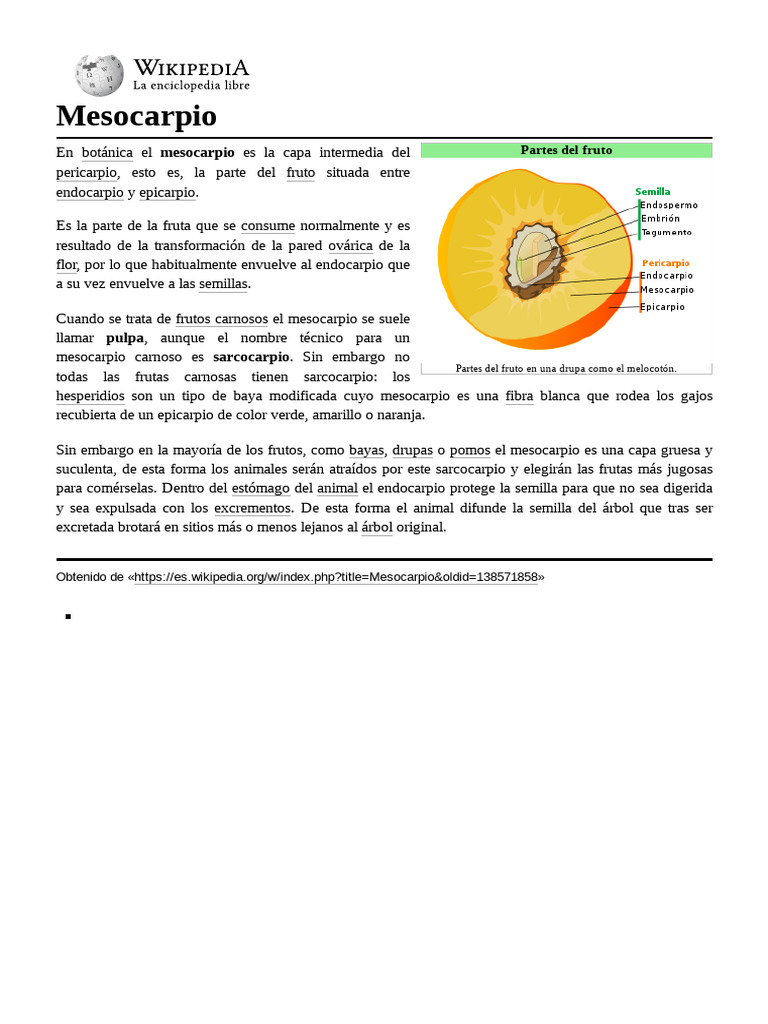 Mesocarpio | PDF | Hogar, jardinería y bricolaje | Ciencia y matemáticas