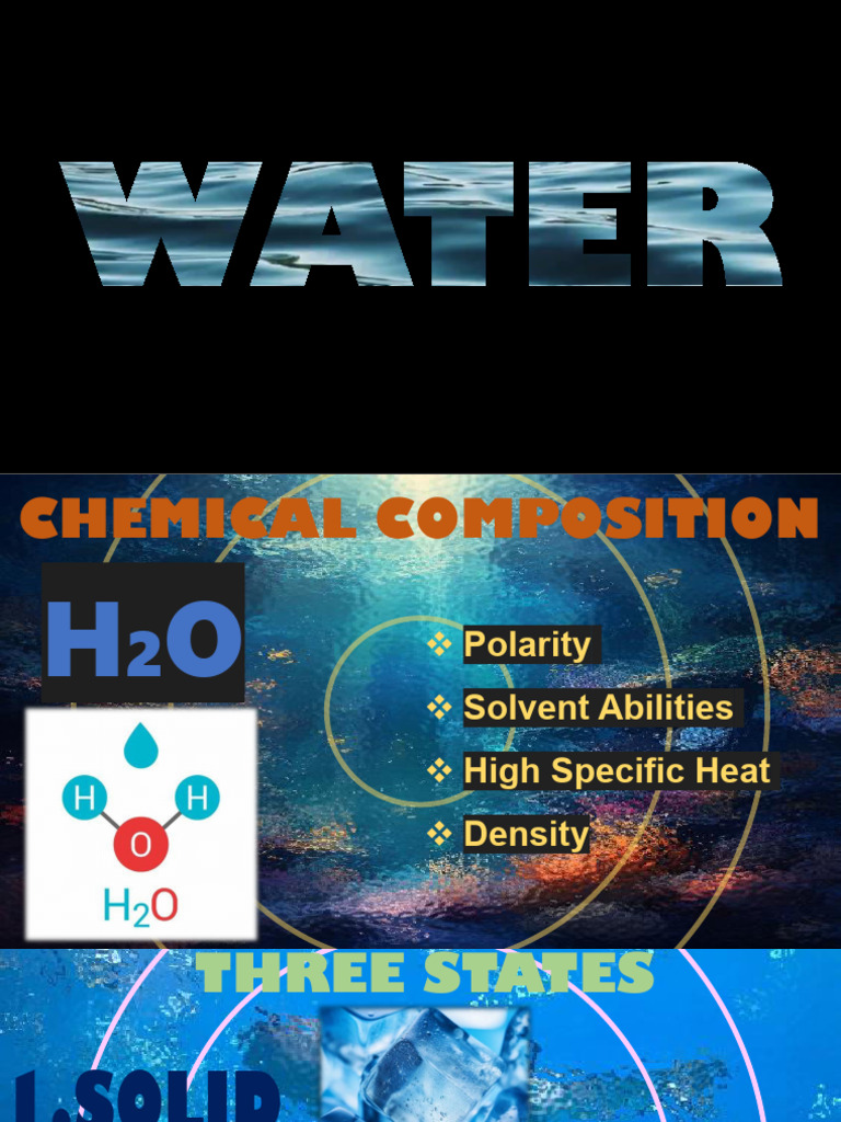 Foundation Vinu Final | PDF