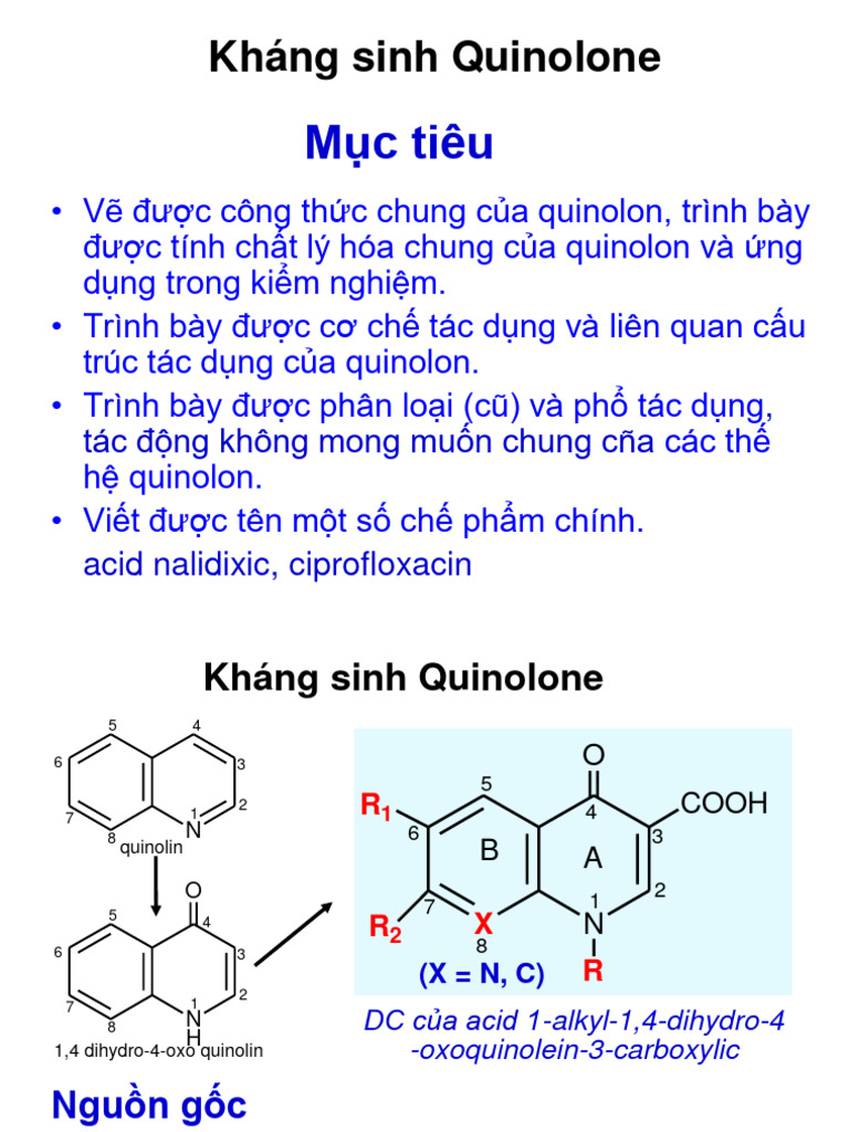B3. Quinolone | PDF