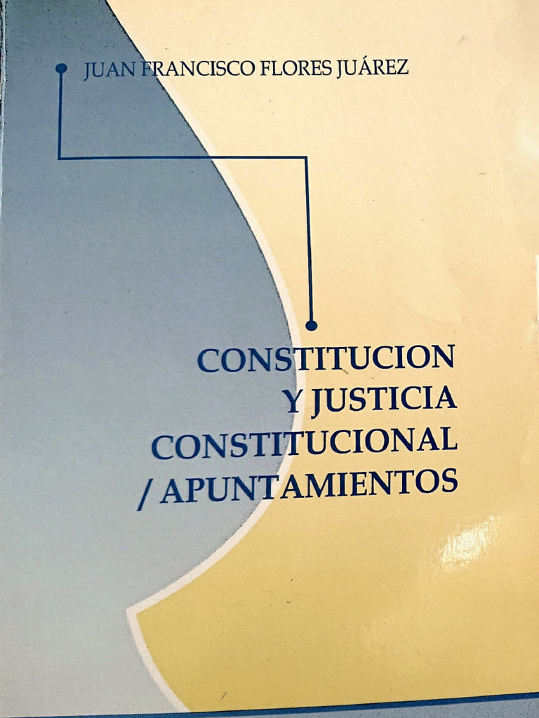 Libro Constitucin y Justicia Constituciona-Apuntamientos - Lic Juan ...