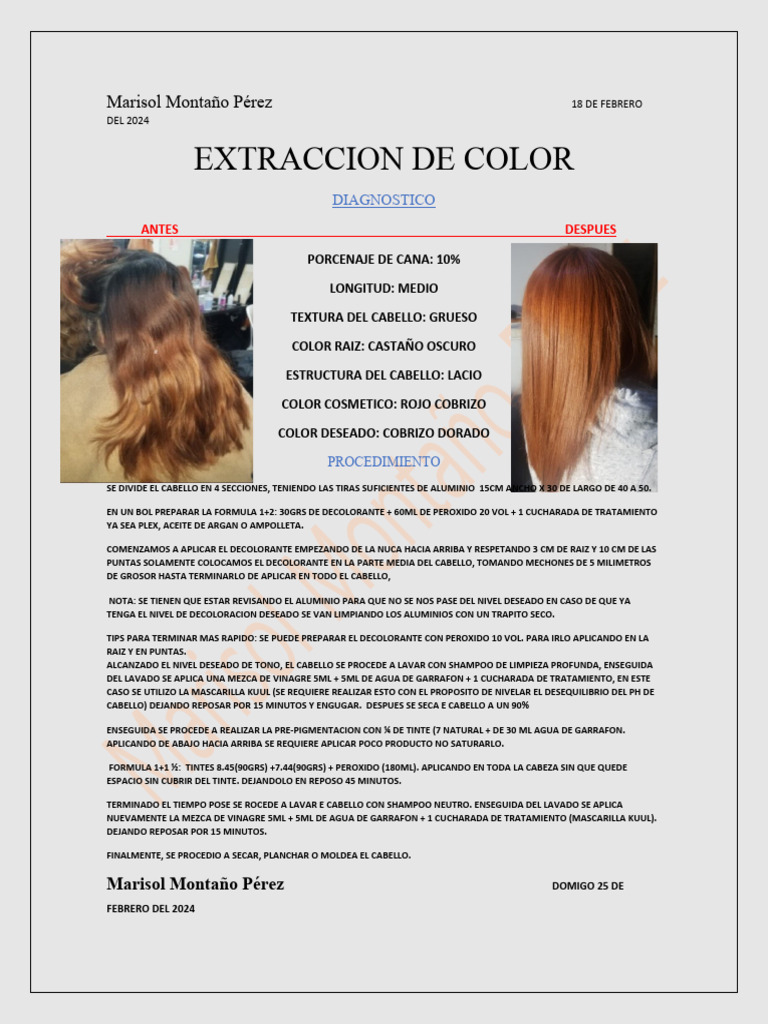 Extracción y Prepigmentación del Cabello | PDF | Pelo | Apariencia humana