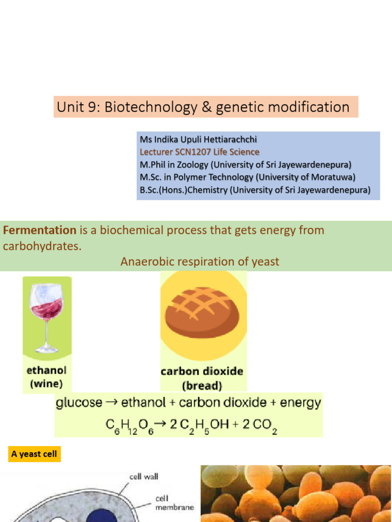 Biotechnology and Genetic Modification Overview | PDF | Genetic ...