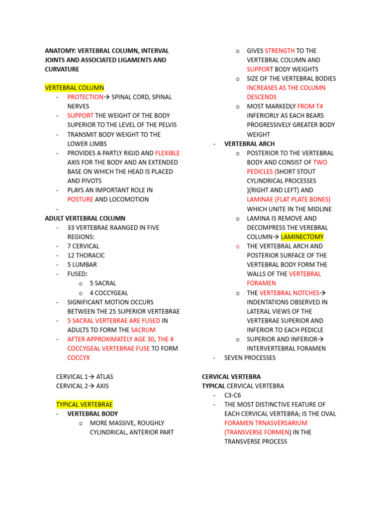 Anatomy Vertebral Column Pdf Vertebra Vertebral Column