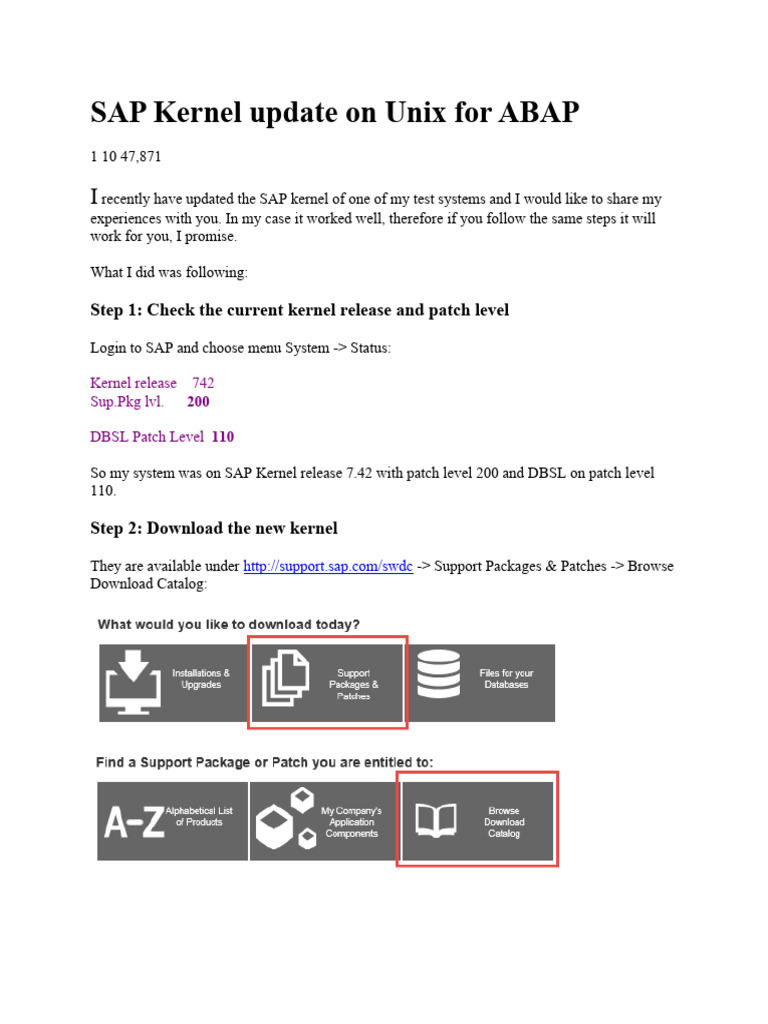 SAP Kernel Update On Unix For ABAP | PDF | Operating System | Kernel (Operating System)