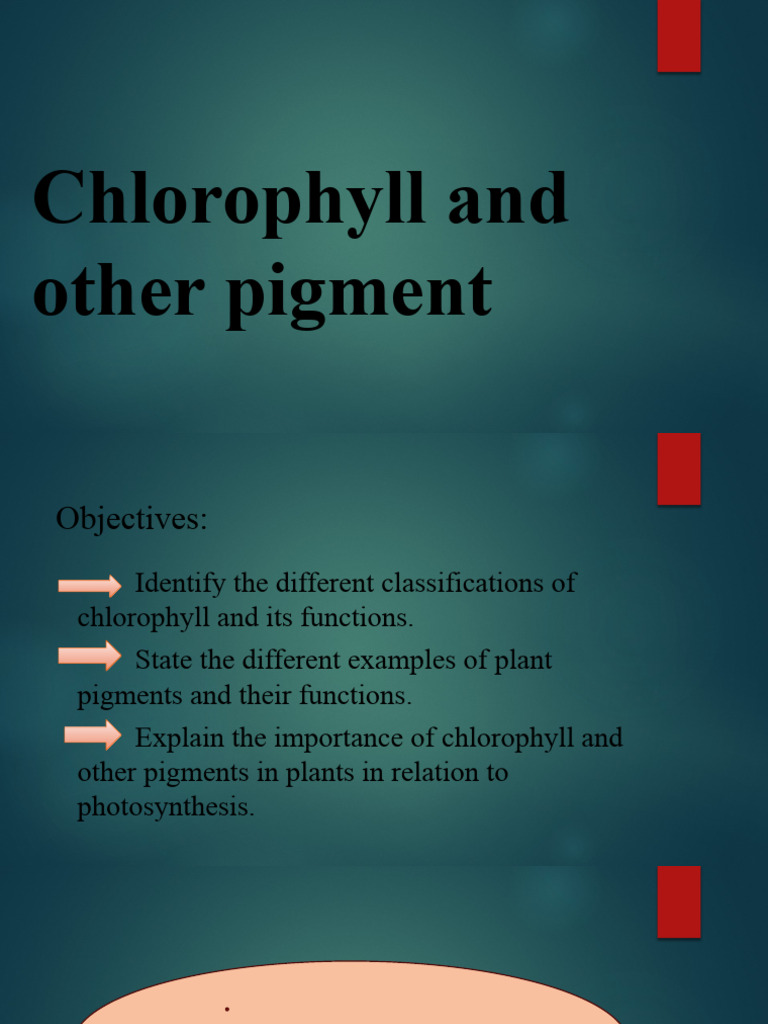 Chlorophyll and Other Pigment (Final Presentation) pt.2 | PDF ...