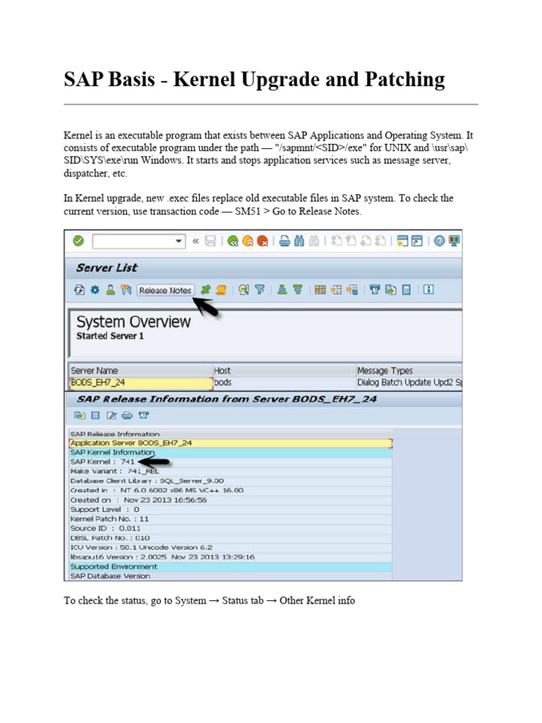 SAP Basis Kernel Windows | PDF | Operating System | Kernel (Operating System)
