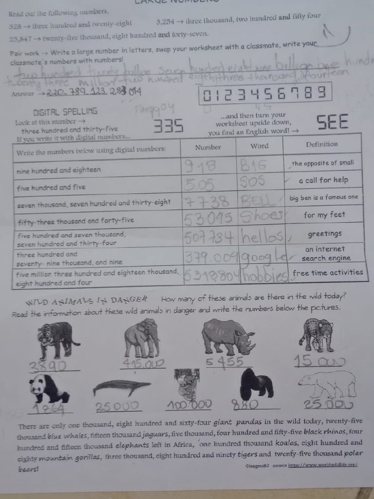 Second Evidence Numbers | PDF