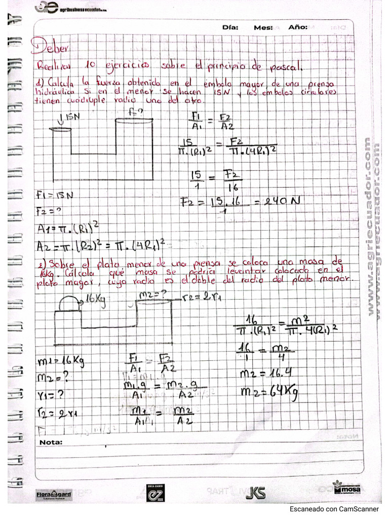 Ejercicio de Pascal | PDF