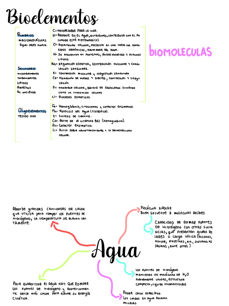 Biocel 1 | PDF | Lípido | Adn