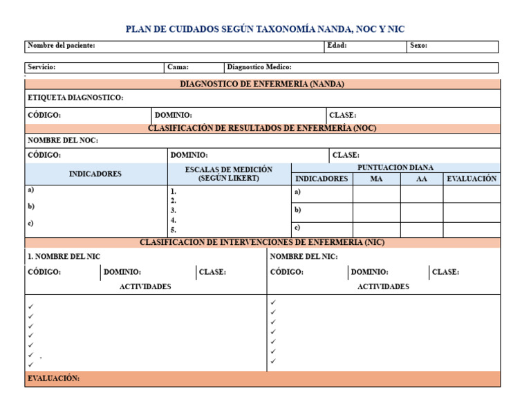 Nuevo Formato Del Pae 2024 Nanda, Noc y Nic | PDF