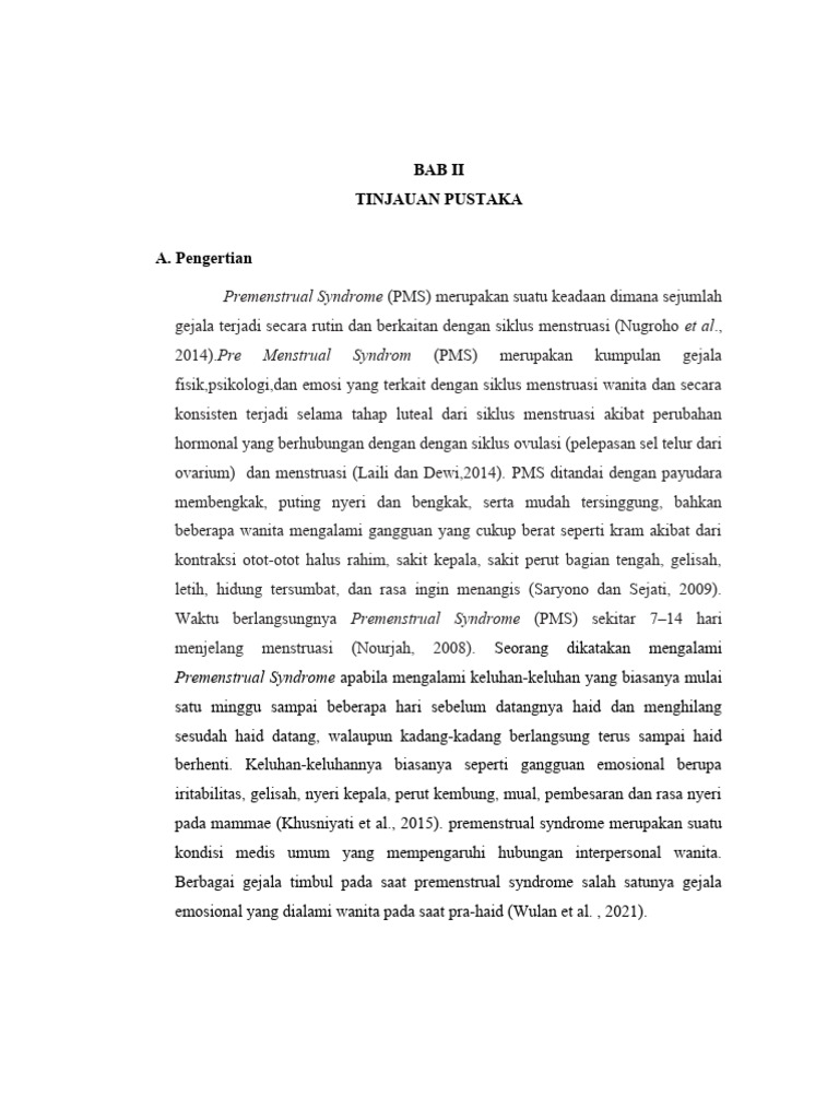 Bab Ii PMS | PDF