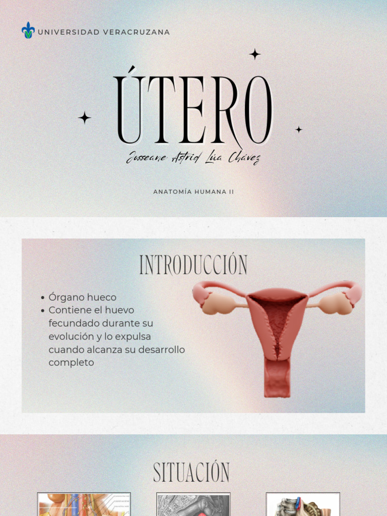 Anatomía del Útero Femenino | PDF | Útero | Vagina