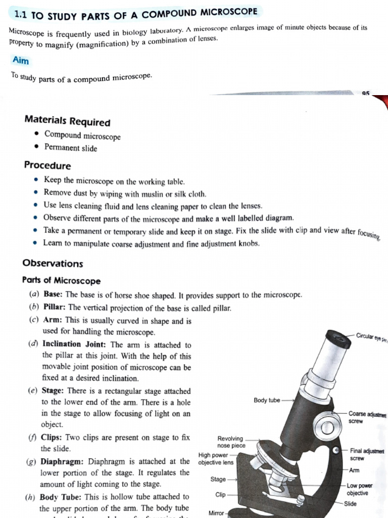 To Study Parts of Compound Microscope | PDF | Microscope | Optics