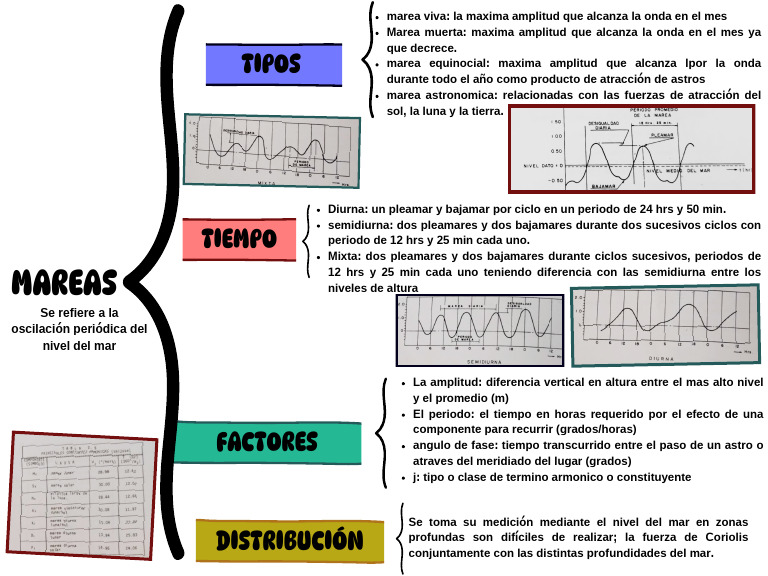 Cuadro Sinóptico de Tipos de Mareas | PDF