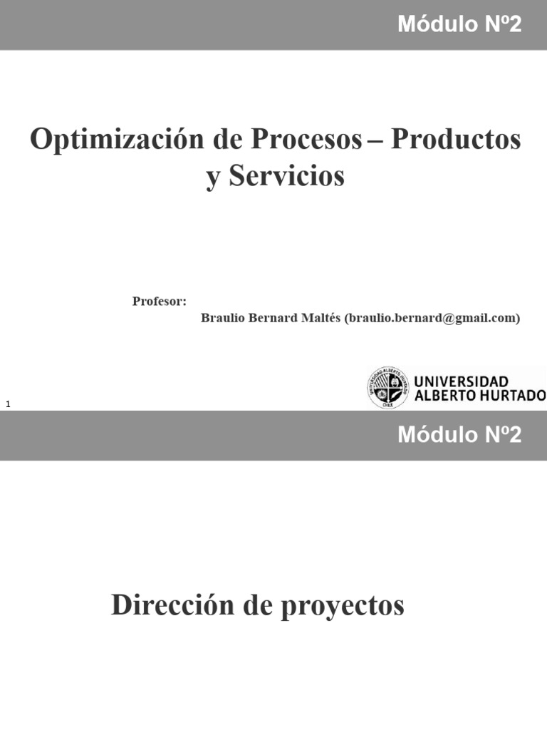 2020 04 21 Modulo N°2 Optimización - de - Procesos - Productos - y ...