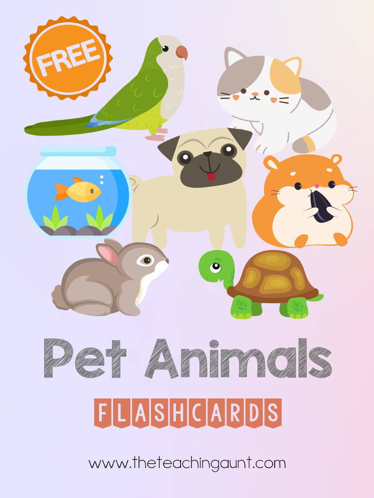 Pet Animals A4 | PDF