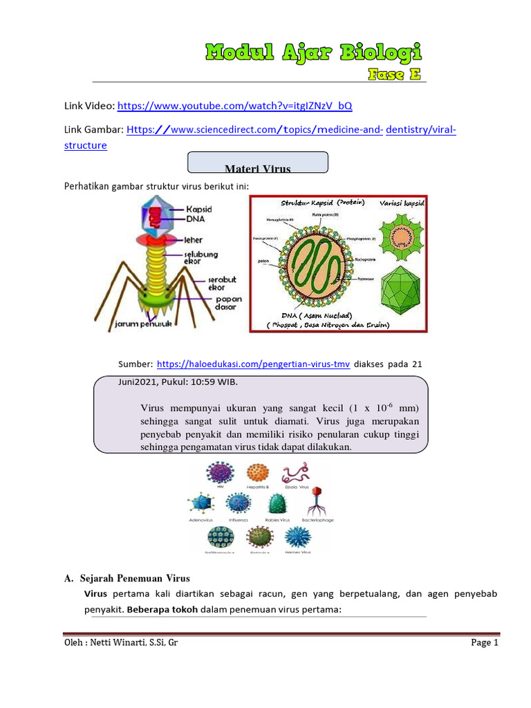 Sejarah dan Ciri Virus: Penemuan hingga Klasifikasi | PDF