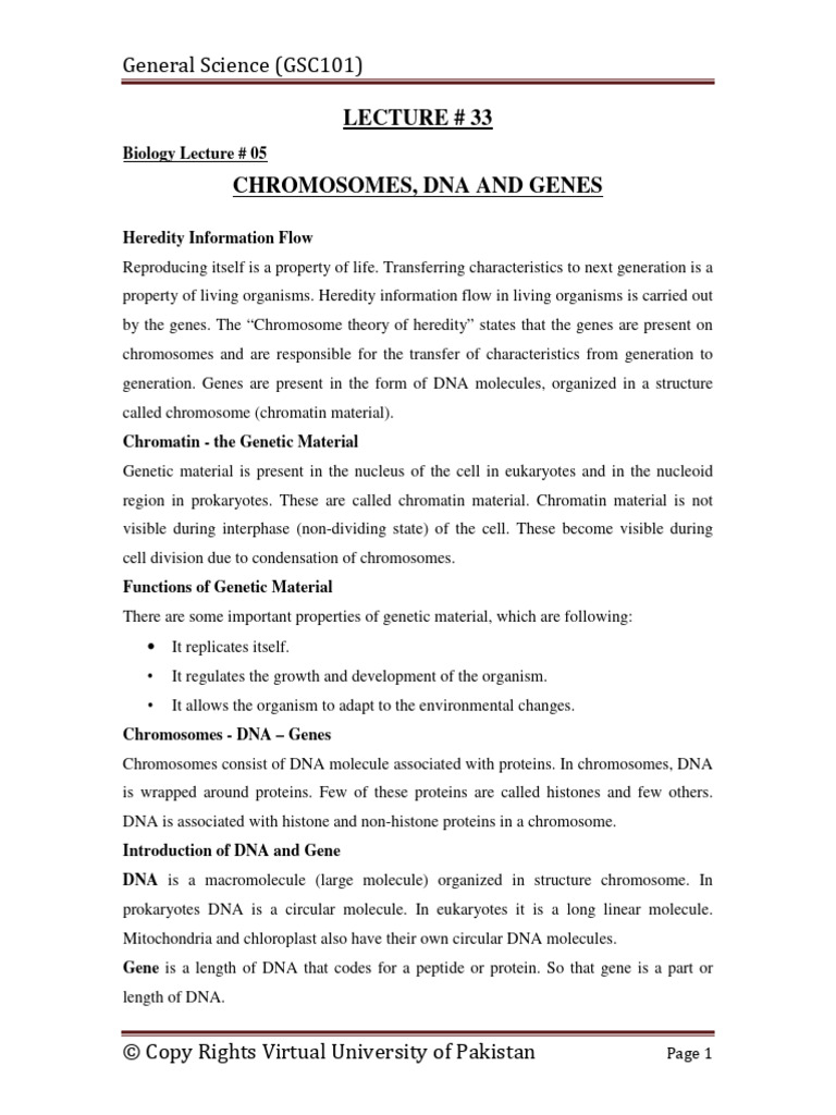 Lecture 24-28 | Download Free PDF | Translation (Biology) | Messenger Rna
