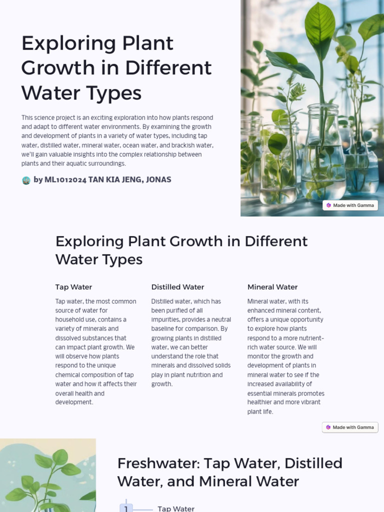 Exploring Plant Growth in Different Water Types | PDF | Water | Seawater