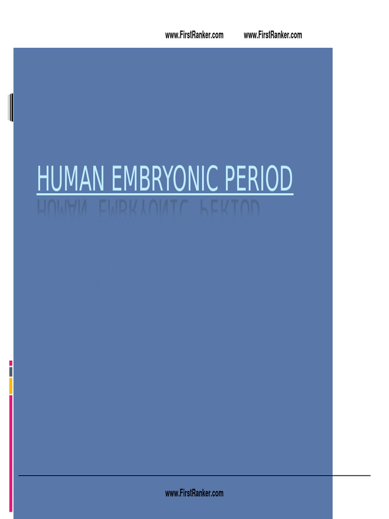 Human Embryonic Period | PDF | Biology | Tissue (Biology)