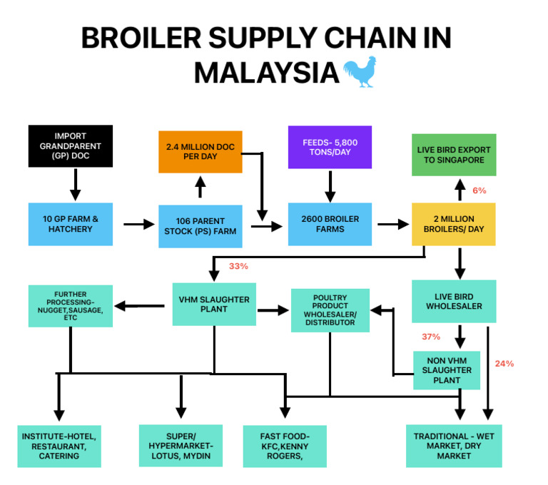 Broiler Supply Chain in Malaysia | PDF