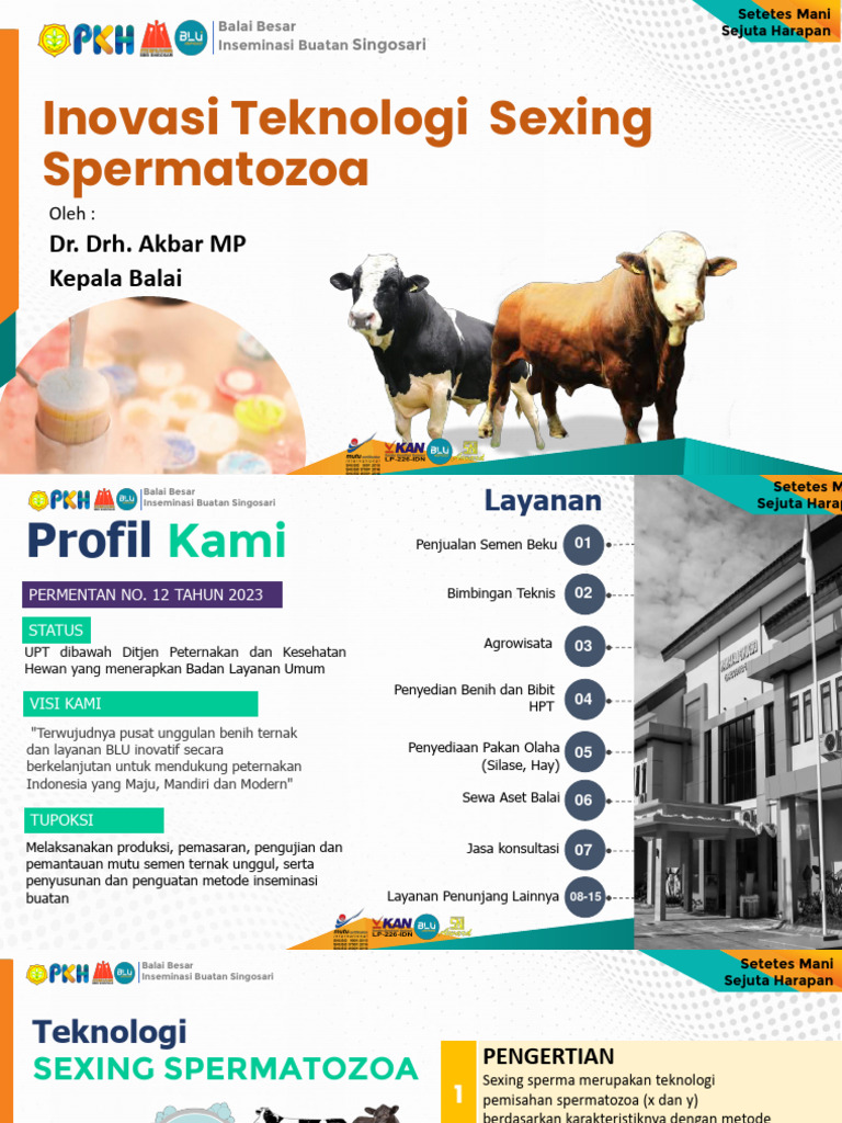 Inovasi Semen Sexing BBIB SIngosari | PDF