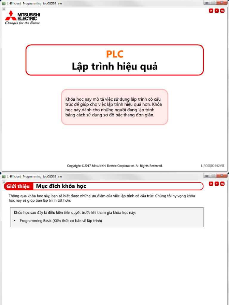 1-Efficient Program Fod Vie | PDF