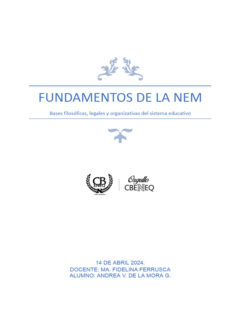 Fundamentos de La Nem | PDF | Educación primaria | Derechos de los niños