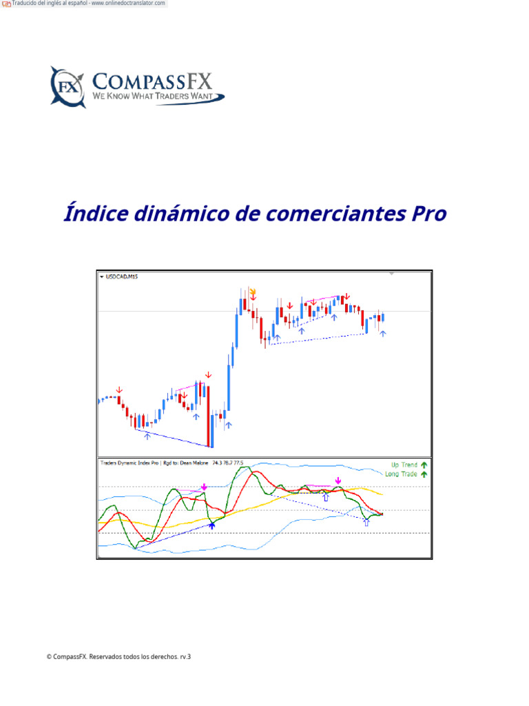 TDI Pro User Manual - En.es | PDF | Mercado de divisas | Precios
