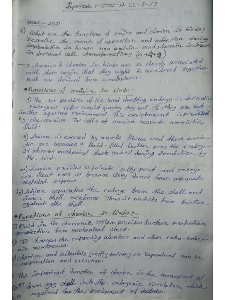 Zoology Assignment - Compressed | PDF