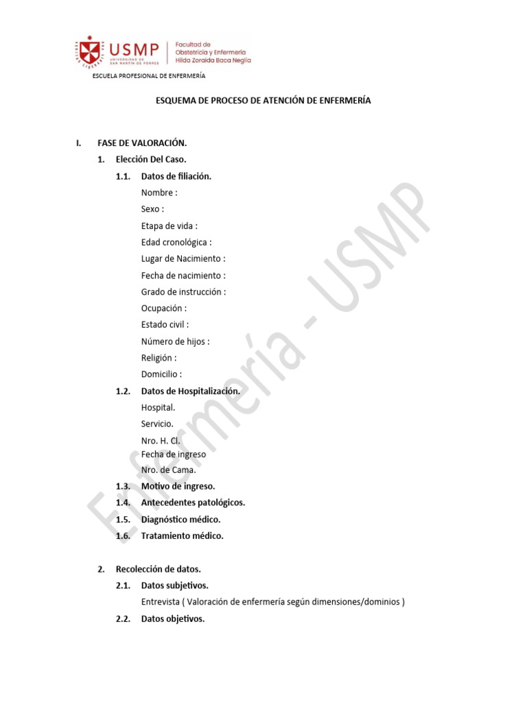 Esquema PAE | Descargar gratis PDF | Enfermería | Cuidado de la salud