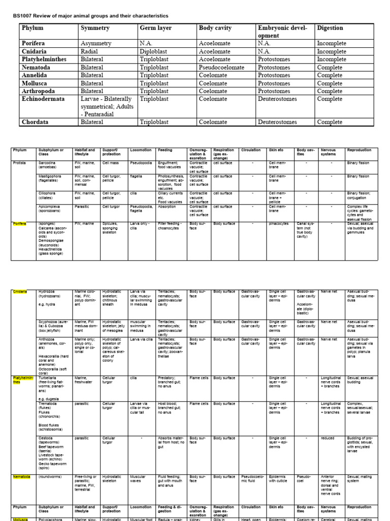 Review of Animal Groups | PDF