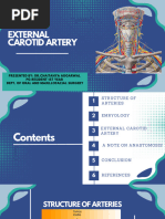 Acl Tightrope Attachable Button System | PDF | Musculoskeletal System ...