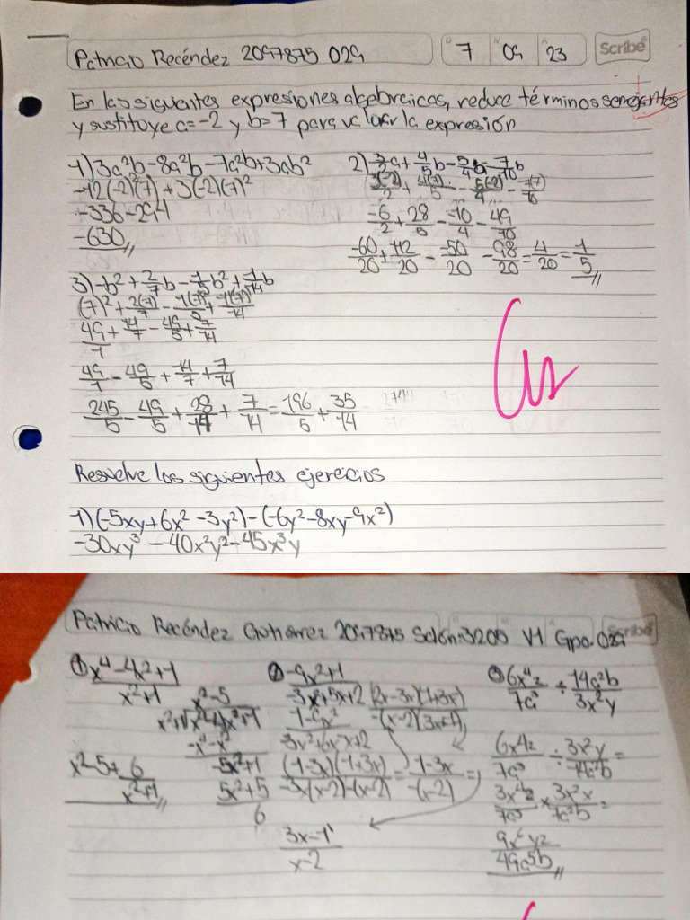 Portafolio Refo PRG | PDF