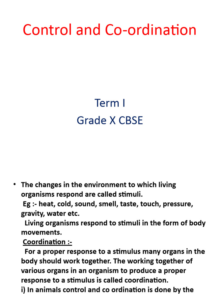 Control & Co-Ordination | PDF | Brain | Central Nervous System