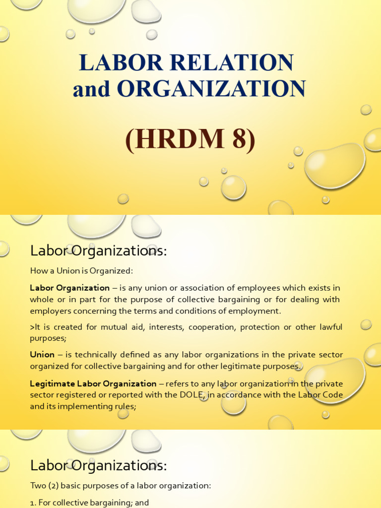 Labor Relations and Organization - Lesson 3 | PDF | Trade Union ...